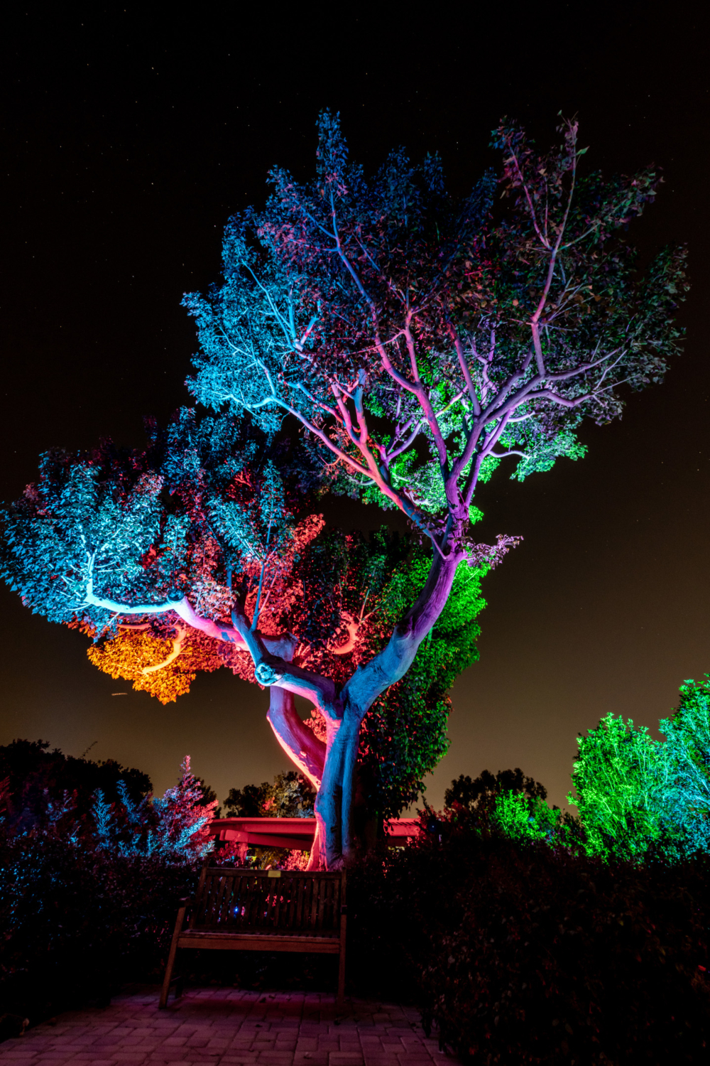 GLOW – The Art of Outdoor Lighting | californiaoutdoorlighting.com